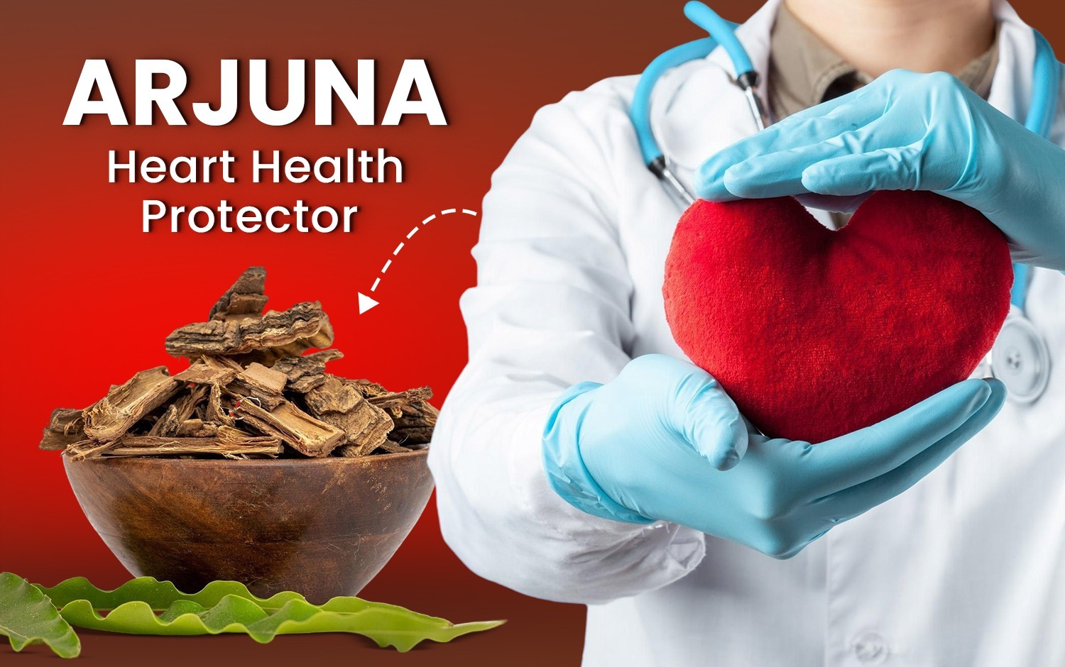 Arjuna – The Ultimate Heart Health Protector - Dr.Patkar's