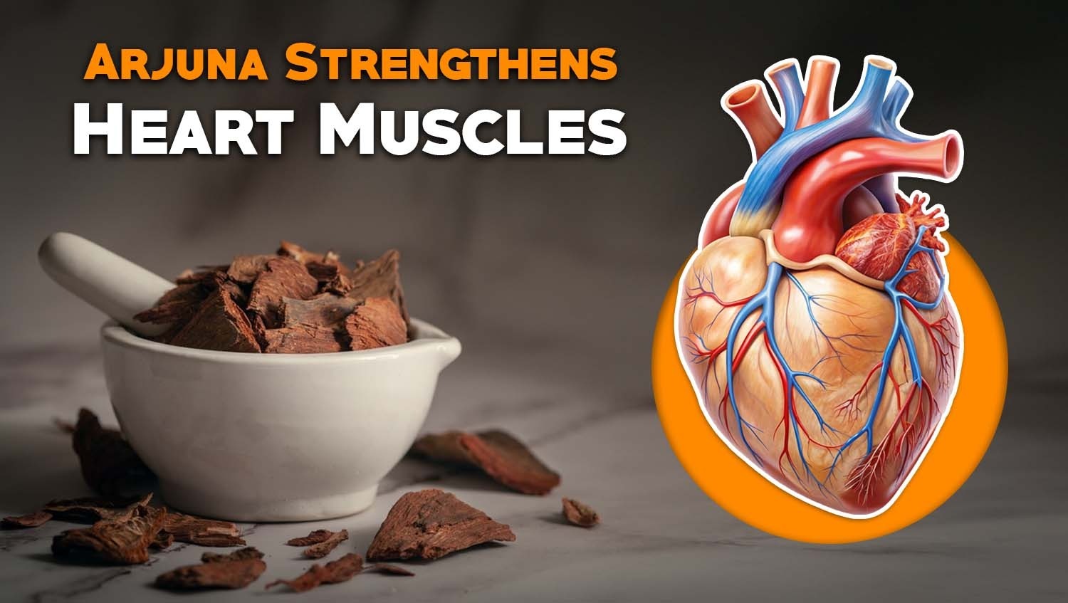 Why Arjuna Strengthens Heart Muscles and Supports Healthy Circulation ...